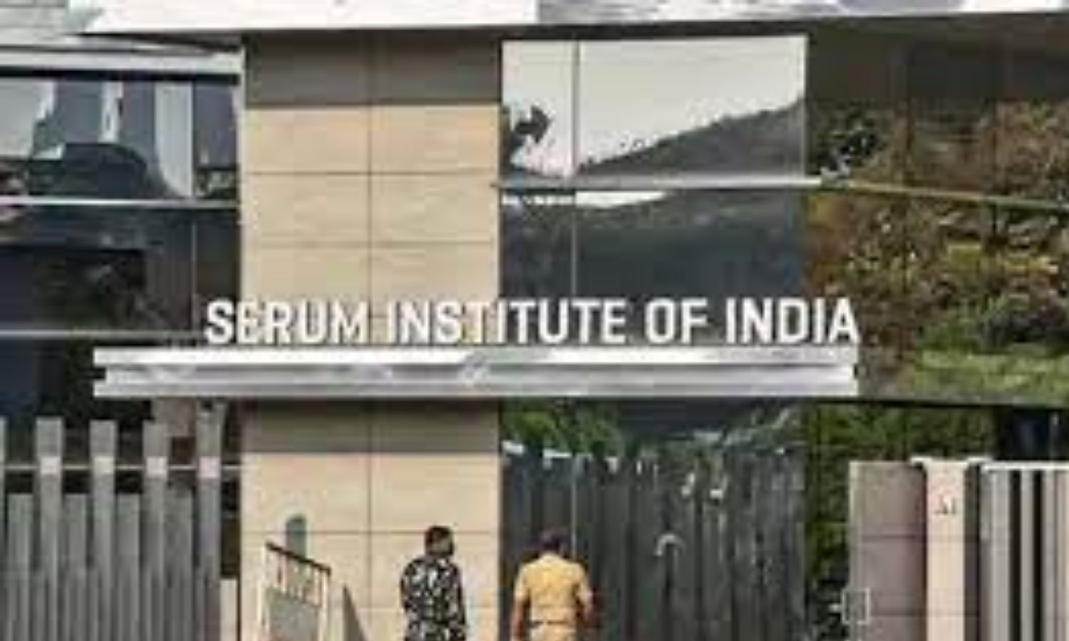 'Centre waives testing requirement for SII's Cy-Tb injection at govt labs'