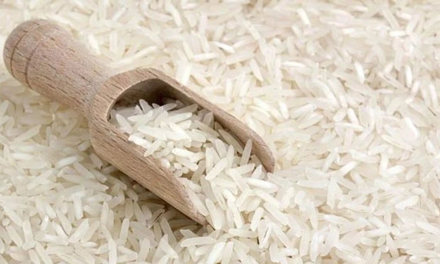 Govt's rice procurement reaches 55.8 mn tonnes & wheat 26.2 mn tonnes
