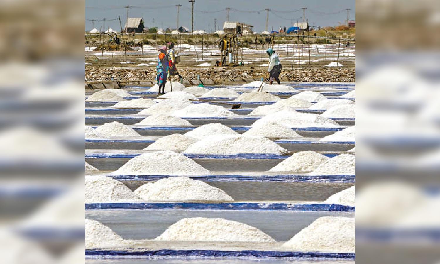 TN first in India to set up welfare board for salt workers