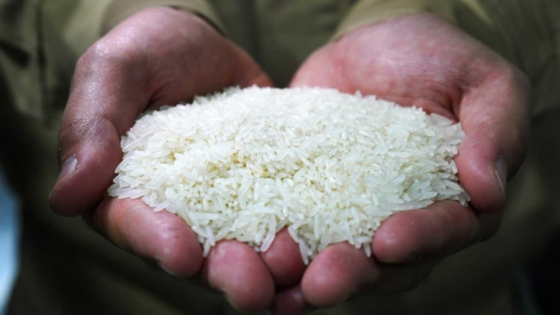 TN to procure 6 lakh tonnes rice from NCCF