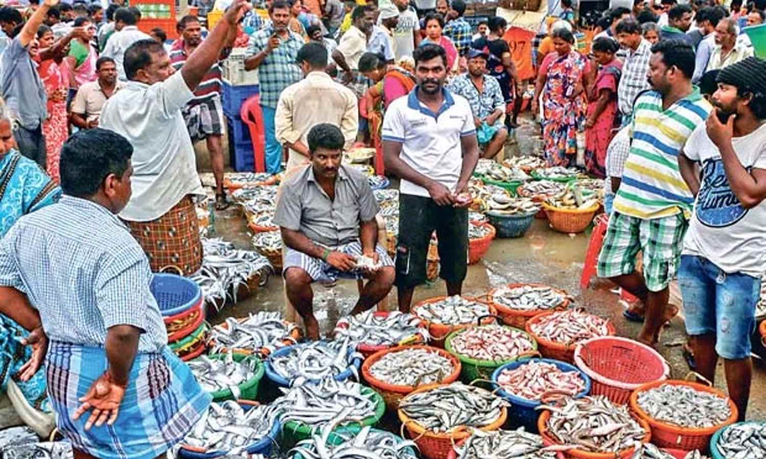 Fish prices doubled in Chennai, public throng fish markets
