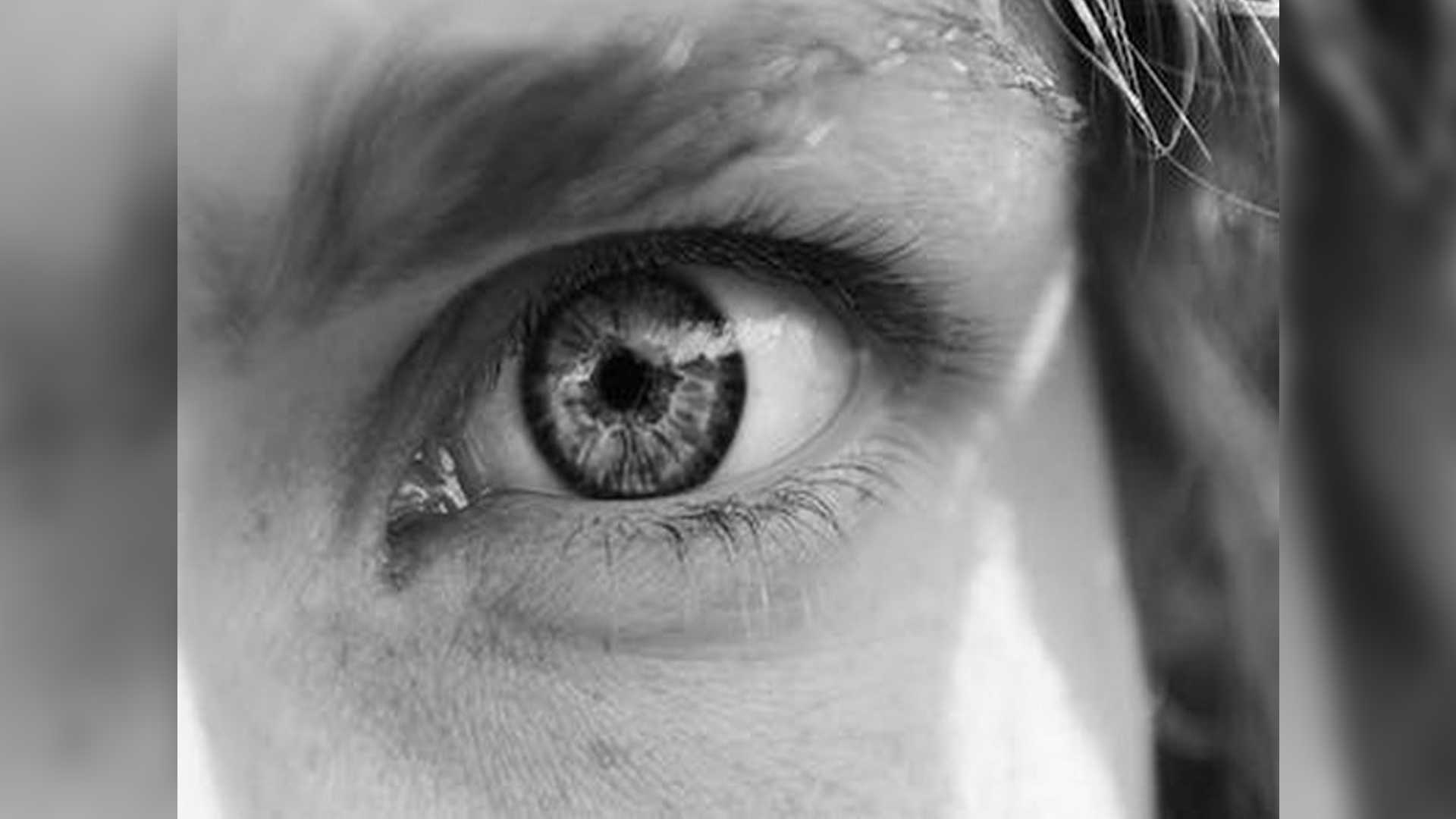 Study discovers immune cells patrolling human eye