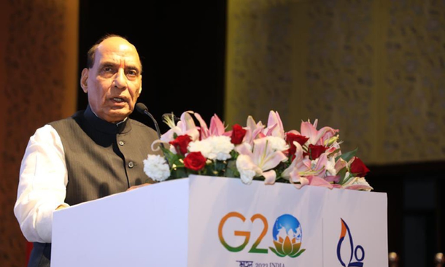 Robust civil society important for functioning of democracy: Rajnath