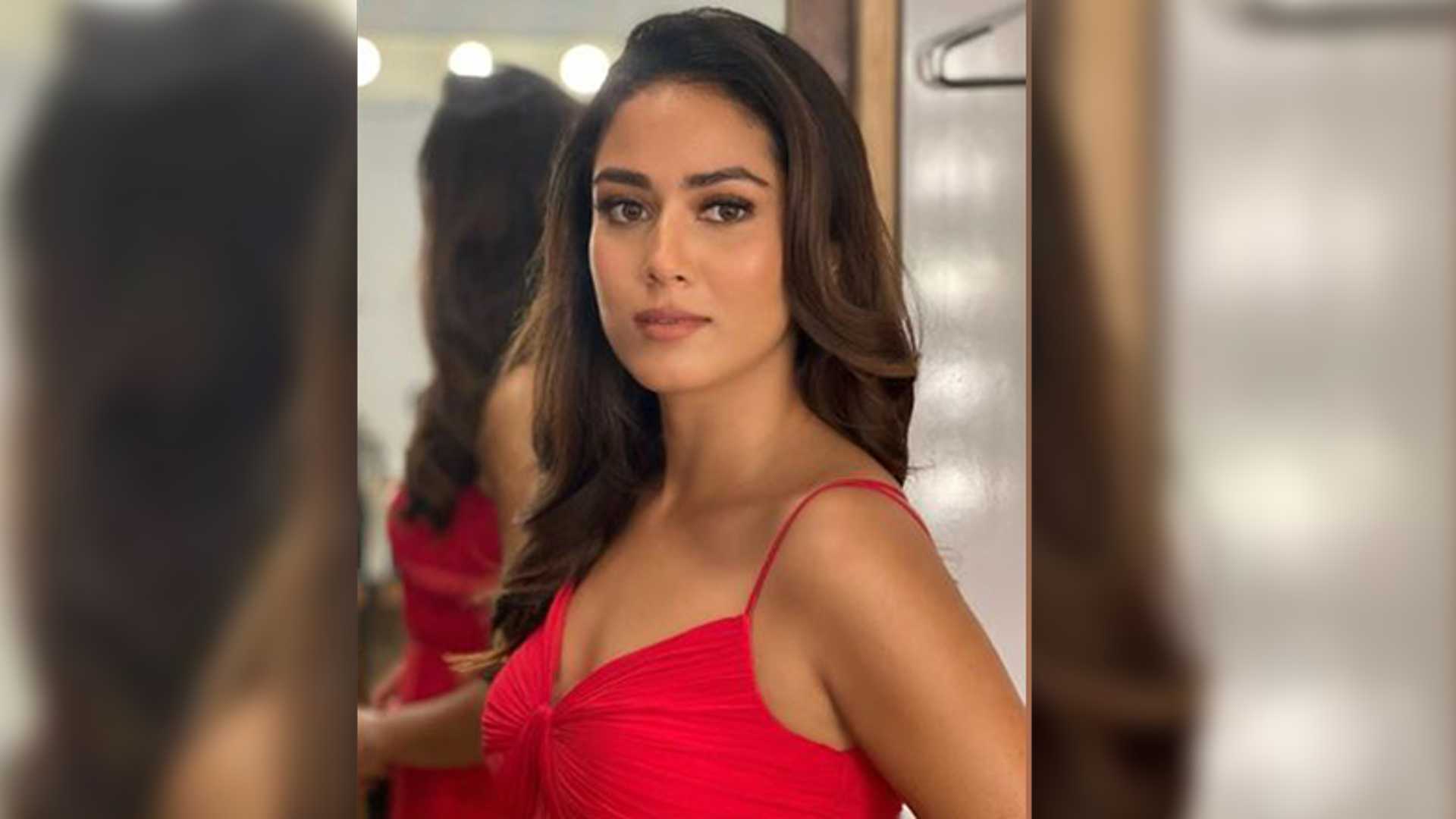 ...wanted a break from pressure of posting: Mira Rajput