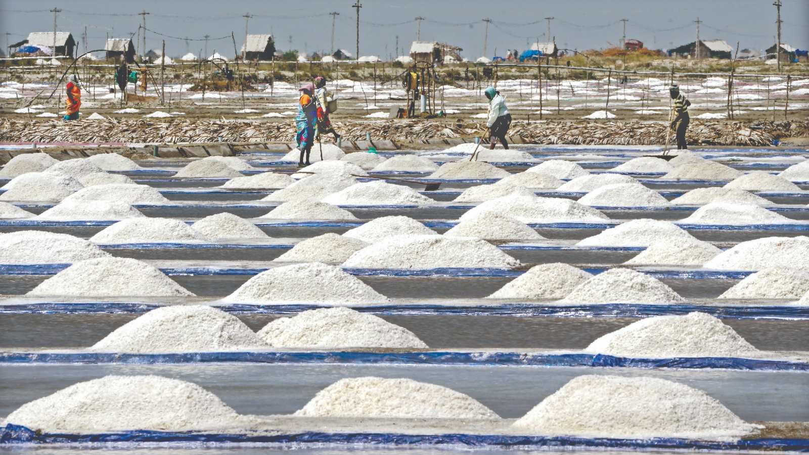 Salt pan workers under weather in TN