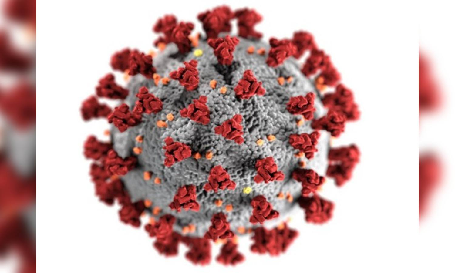 WHO designates Covid's BA.2.86 as ‘variant under monitoring’