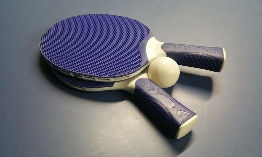 Table tennis: Syndrela-Divyanshi pair rises to World No. 1; six Indian ...