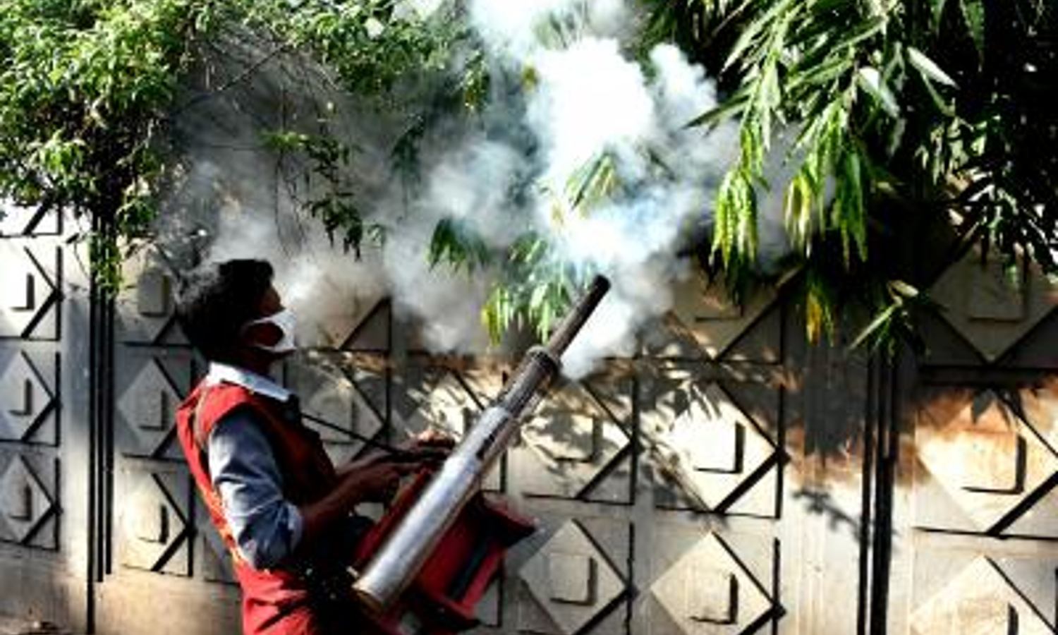 Bangladesh records 21 dengue deaths, highest in single day this year