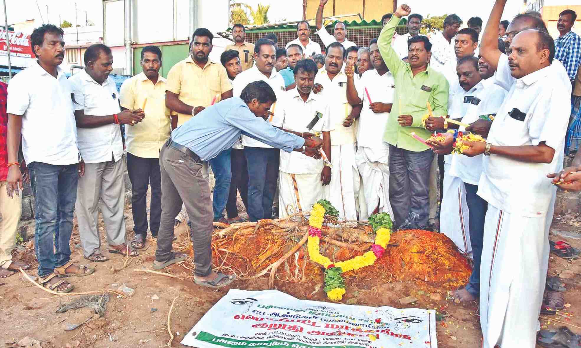 Activists’ last rites to felled tree