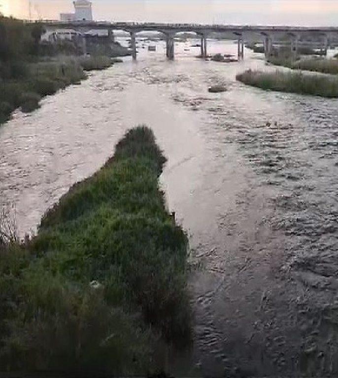 Water flows, rising atmospheric temperatures can heat our rivers: Study