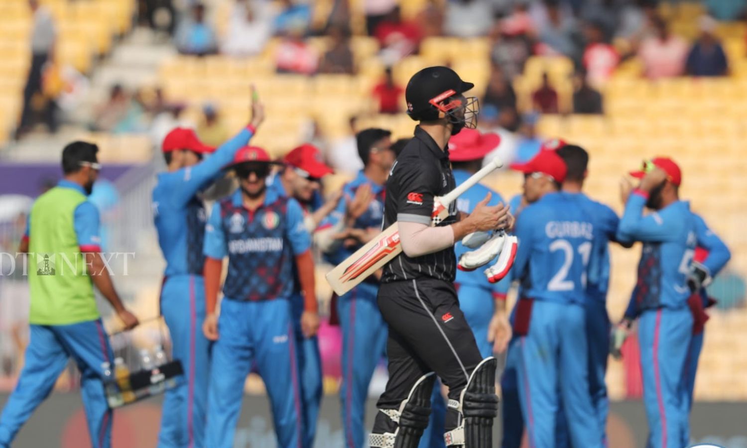 CWC 2023: New Zealand scores 288 against Afghanistan