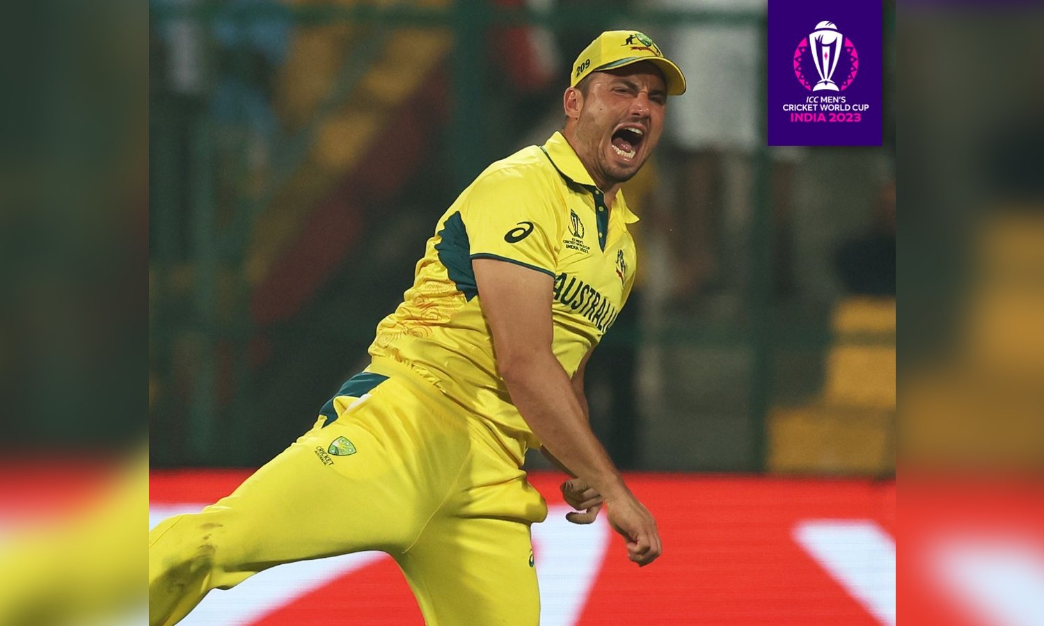 CWC 2023: Australia upstages Pakistan by 62 runs