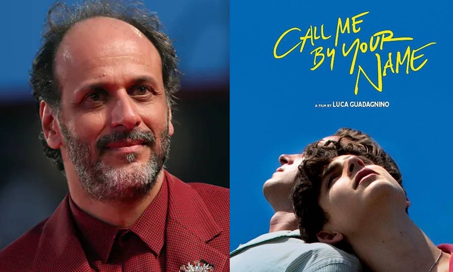 Initially turned down offer to direct 'Call Me By Your Name': Luca Guadagnino