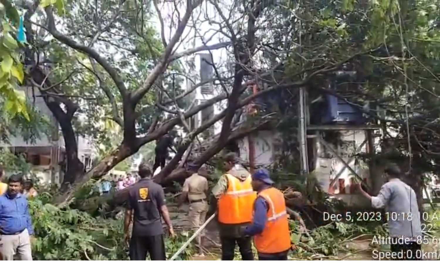 398 trees uprooted, 40 trees yet to be cleared: GCC