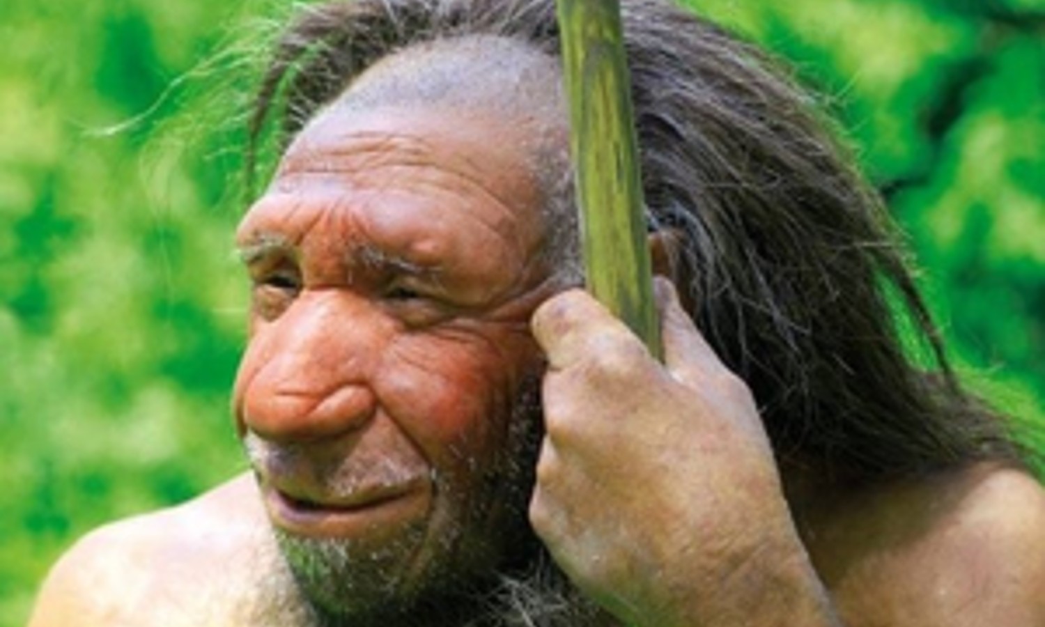 Neanderthal DNA may be making you a morning person: Study
