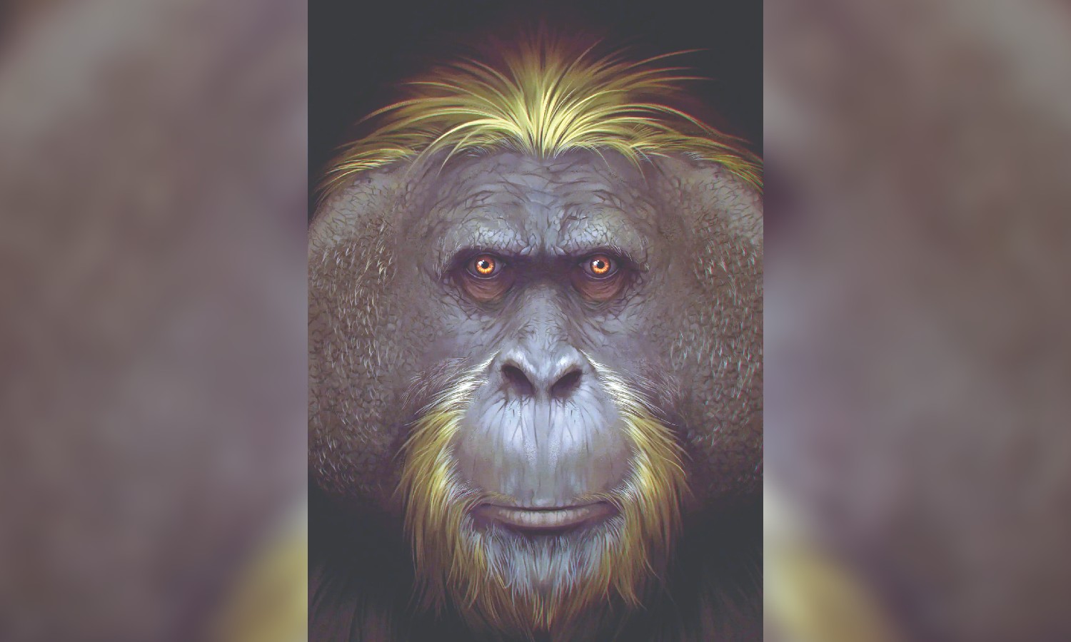 The biggest ape that ever lived was not too big to fail