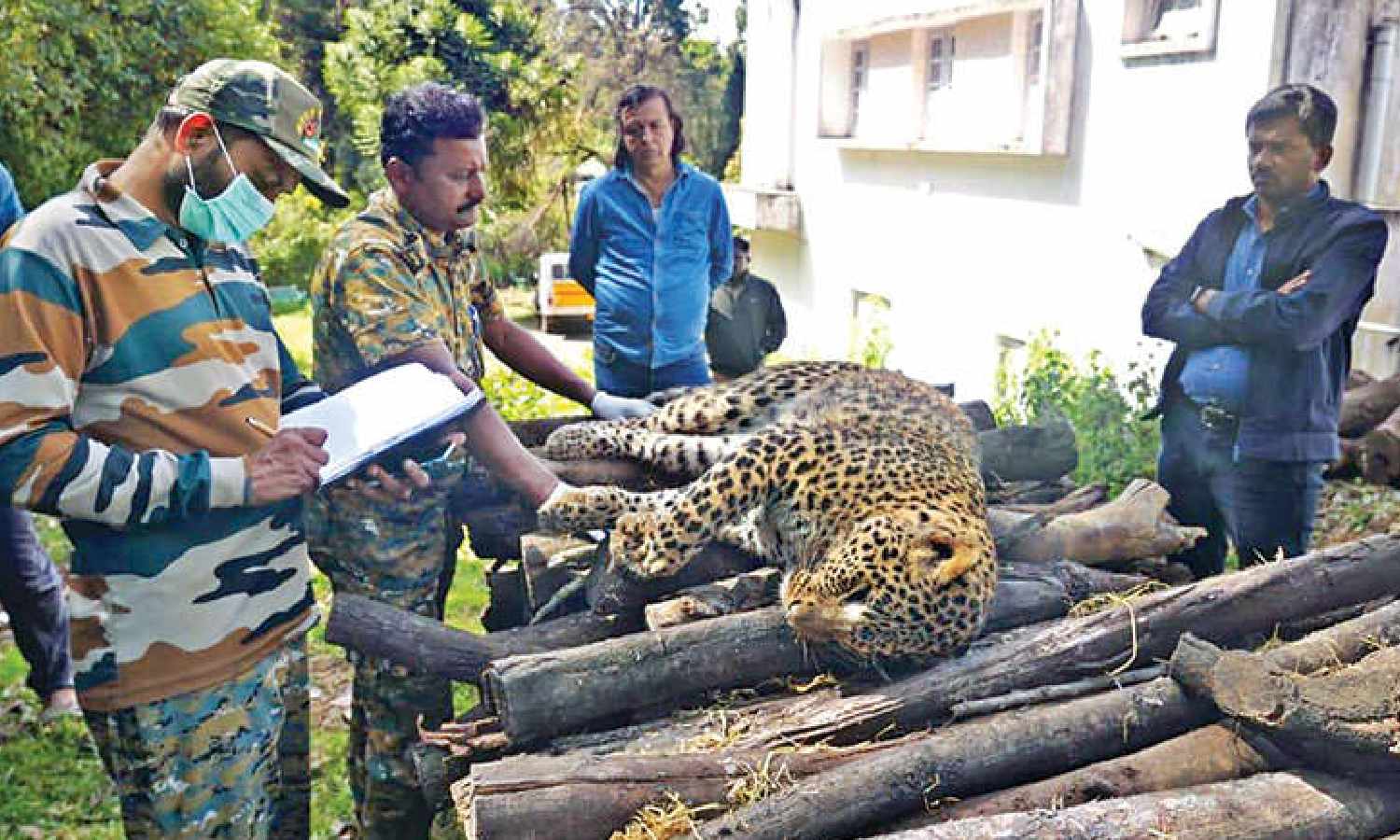 Need more funding, scientific solutions to handle leopard attacks ...