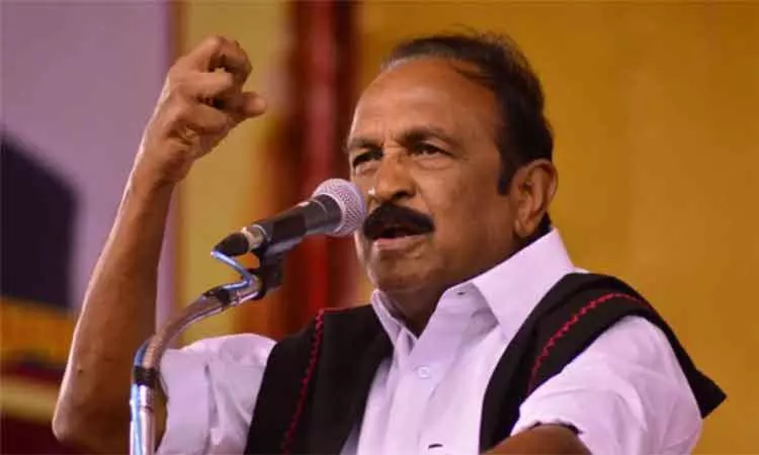 Not seeking 12 seats, DMK will form govt on its own: Vaiko