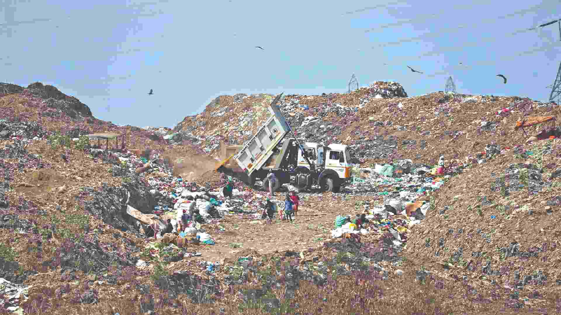 ‘Restore Kodungaiyur, Perungudi dump yards as wetlands’