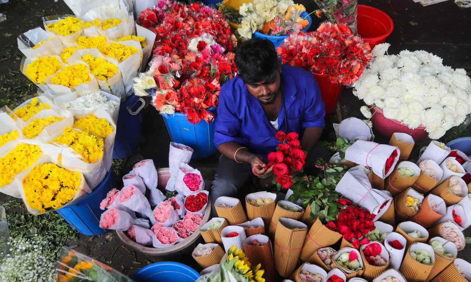 Valentine's Day: Rose prices become dearer in Chennai