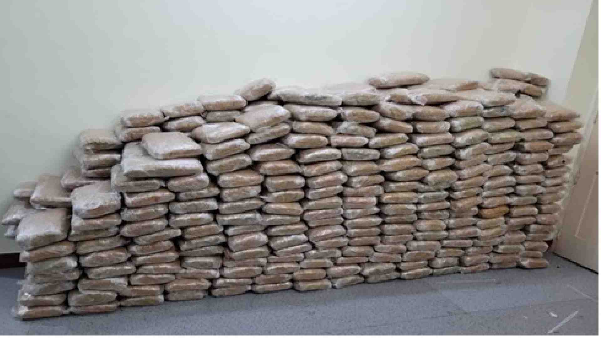 Major drug haul in TN: 100 kg hashish, 876 kg ganja seized