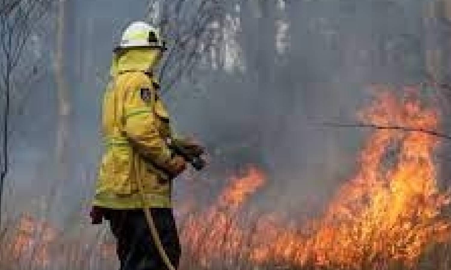 Australia: Queenslanders urged to prepare beforehand for bushfire season