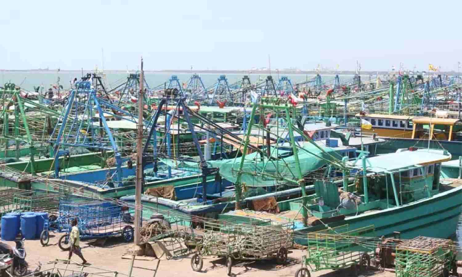 Annual fishing ban announced in Eastern Coast of TN, begins from April 15