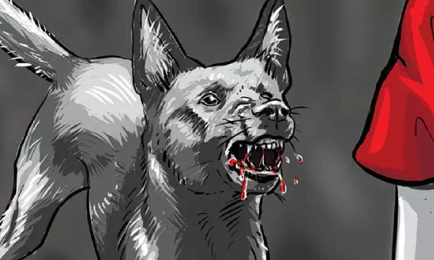 Chennai: Six-year-old boy attacked by neighbour's dog, admitted to hospital