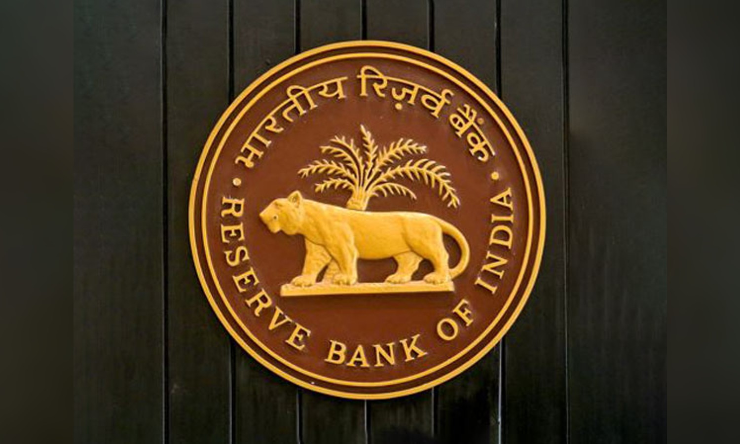 RBI plans to revamp currency management infra to cater to future cash needs