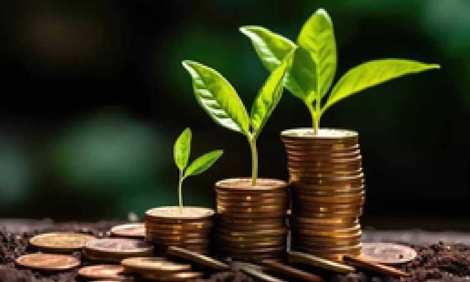 Marudhar Rocks raises Rs 150 cr from BVF