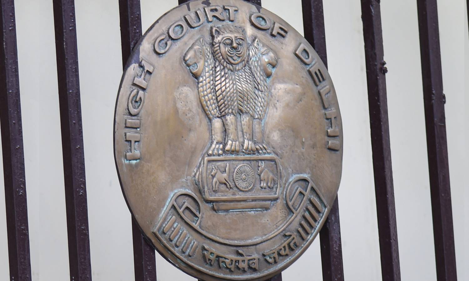 'Peaceful protests part of training to inculcate civil society norms ...