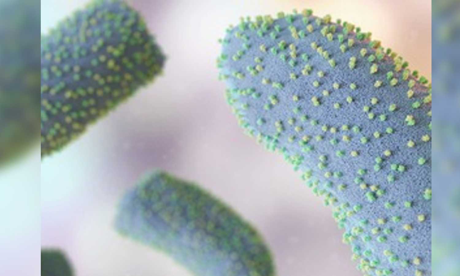 Hidden virus found common in germs that cause pneumonia: Study