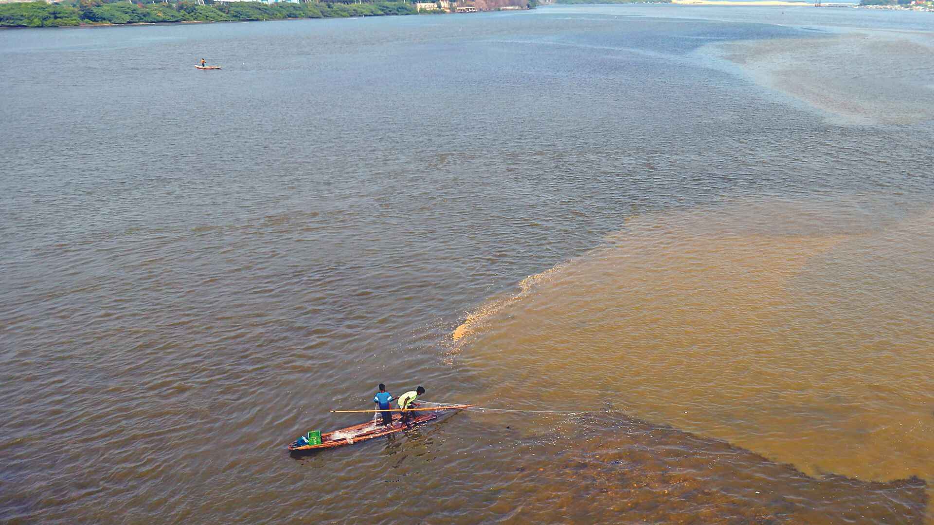 WRD seeks Rs 160 crore from Ennore port to remove invasive Charru Musse