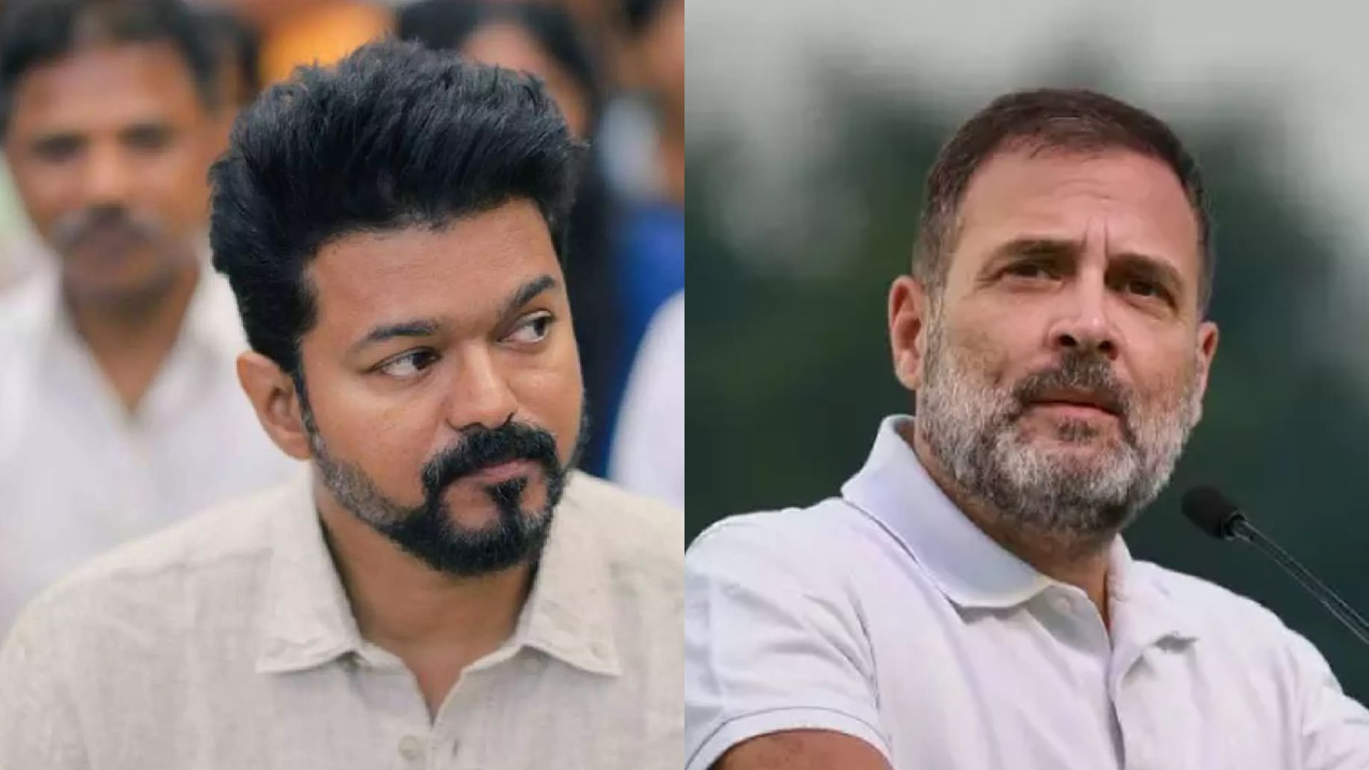 Vijay wants to cast Rahul Gandhi for TVK’s maiden conference