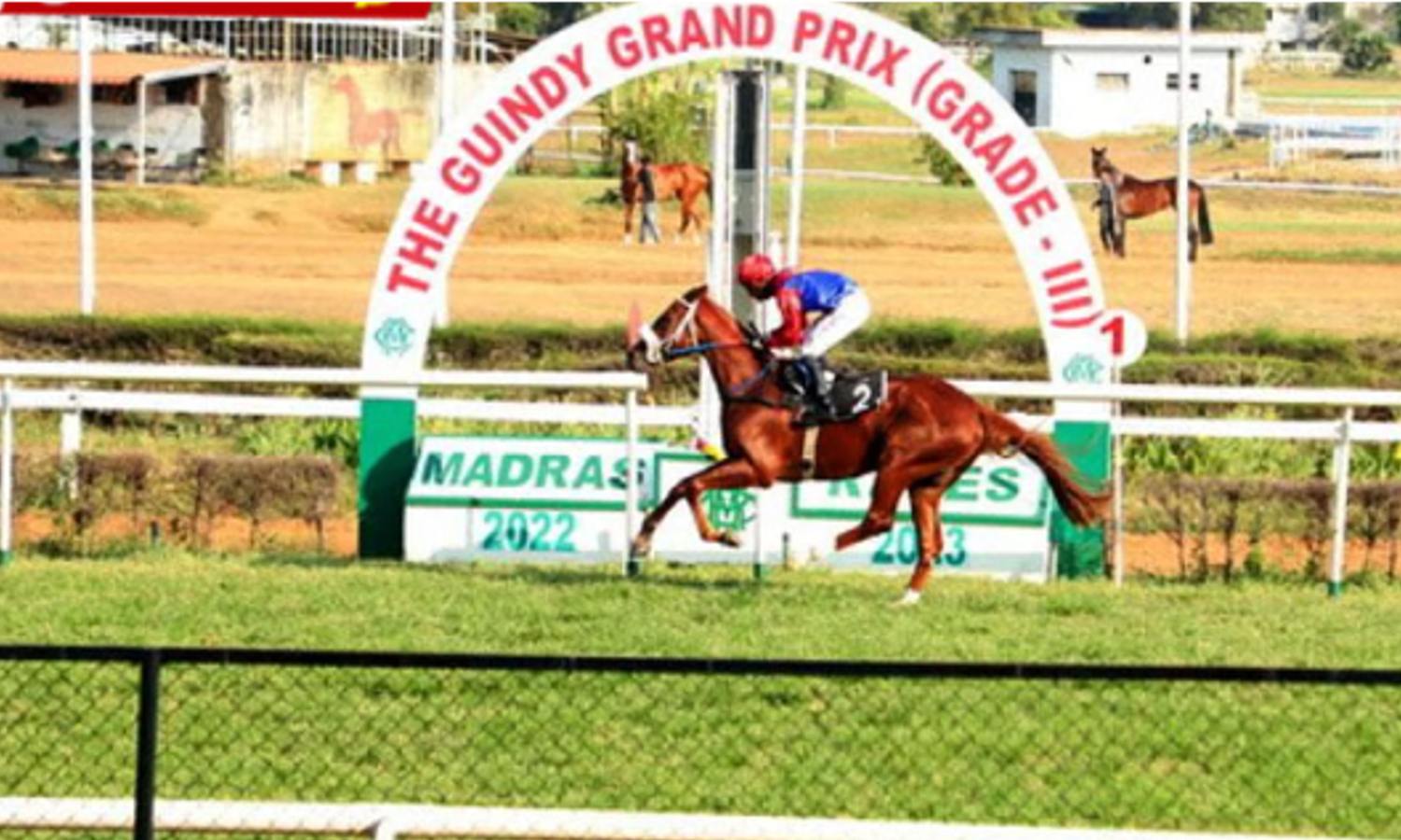 Madras Race Club to host Turf Invitation Cup racing events this weekend