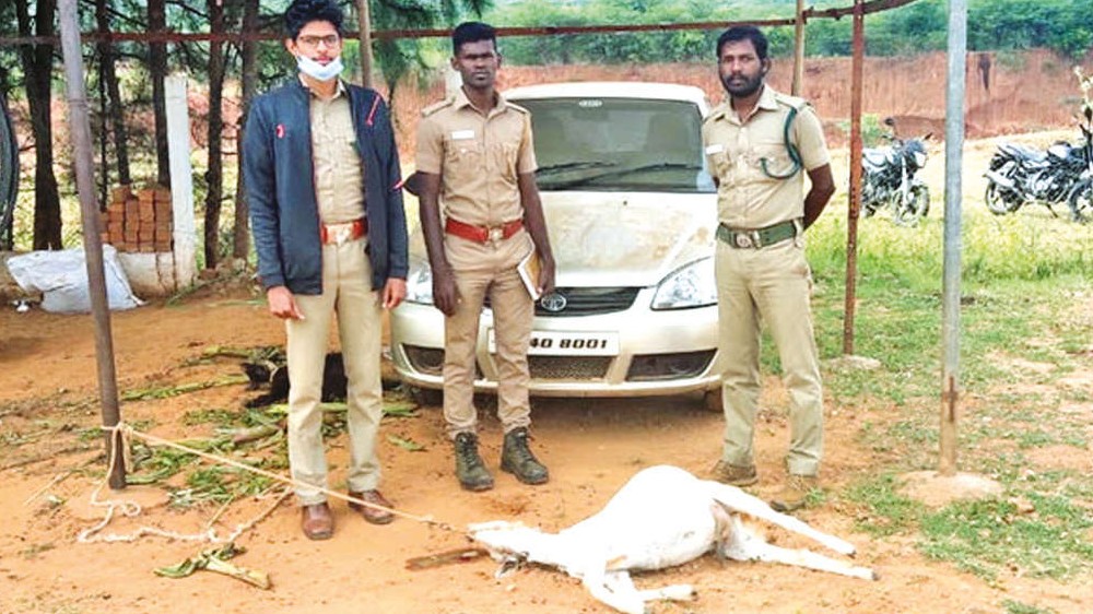 Drones deployed to track prowling leopard in Kovai