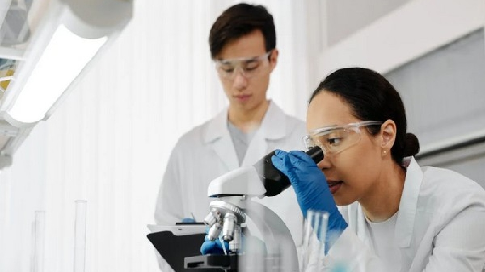 Researchers discover secreted protein helps to repair, grow muscles