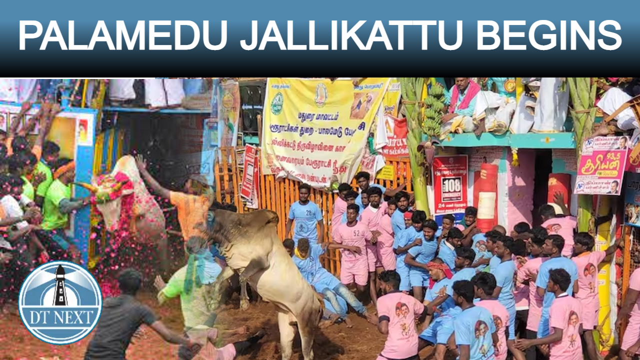 Palamedu Jallikattu begins