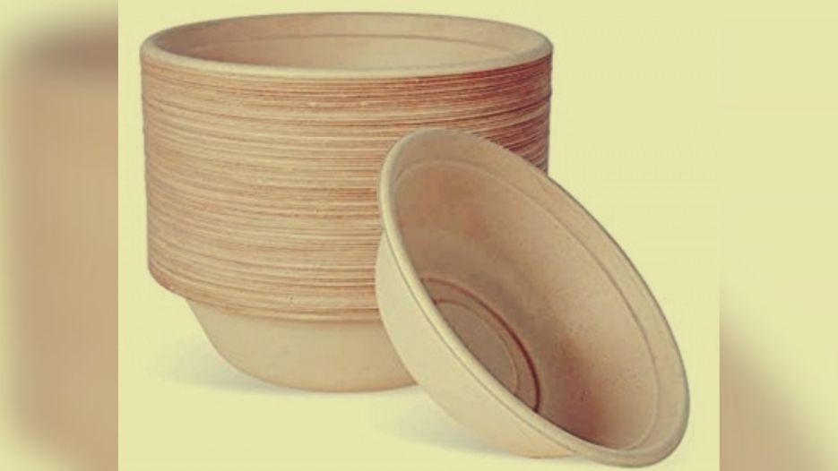 'Paper bags, compostable food packages may contain toxic chemicals'