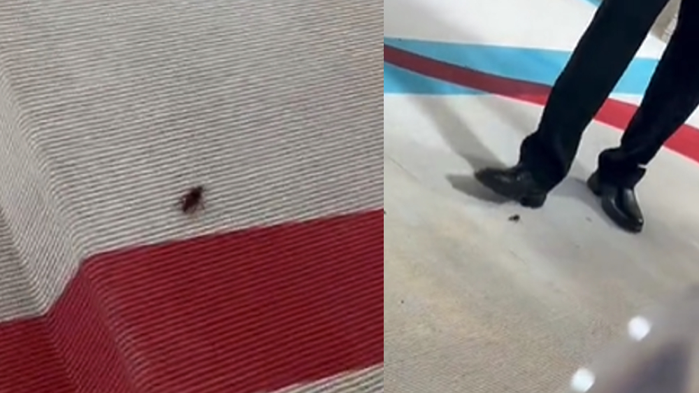 Met Gala: Cockroach had a fashion moment on red carpet, video goes viral