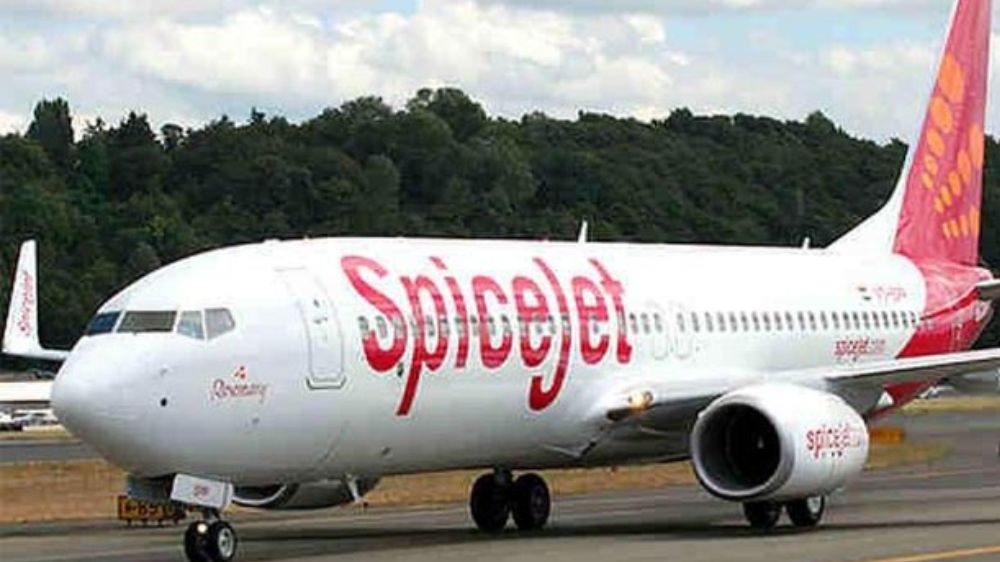 SpiceJet shares tumble nearly 14 pc; hit 52-week low during the day