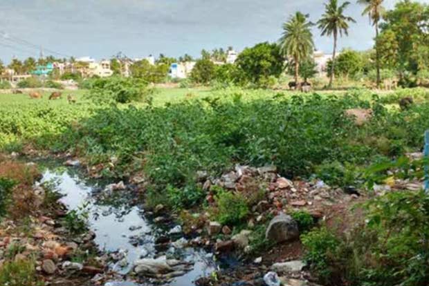 Residents, NGOs plan to restore past glory of Sembakkam lake