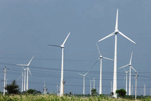 Tamil Nadu should double wind energy capacity: IEEFA