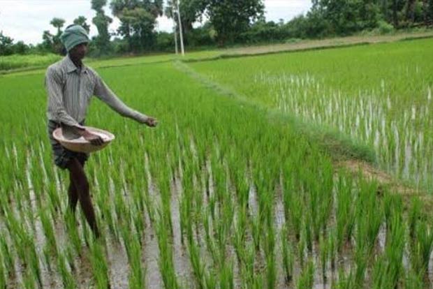 Short-term subsidised crop loan to be under DBT mode: RBI