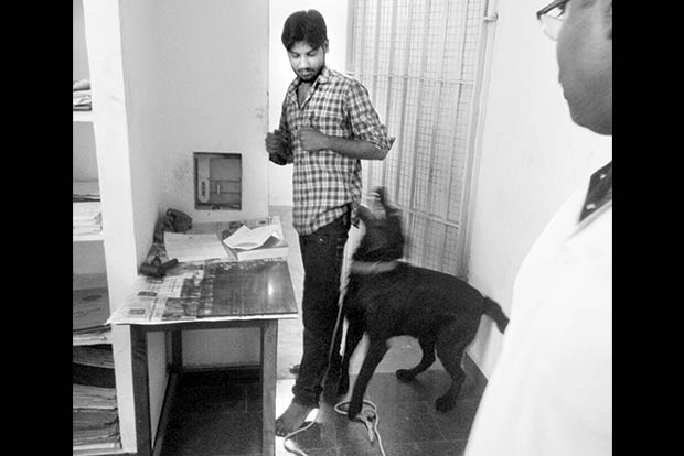 Sniffer dog Simba turns hero, nabs murder suspect