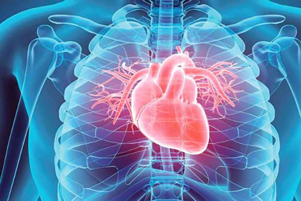 Intravascular Ultrasound a boon for heart patients and cardiologists too