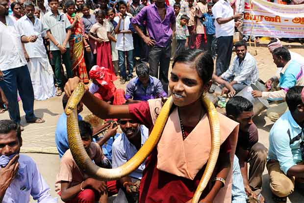 Tribals take out procession with snakes to Collectorate