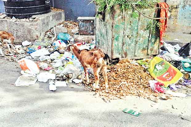 Plagued by problems, Ward 136 cries for Corporation’s attention