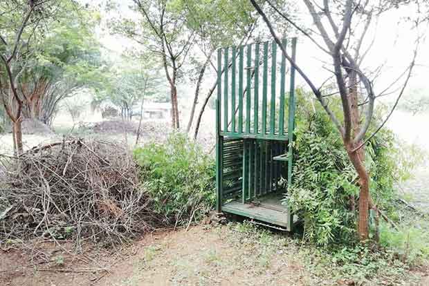 Cage placed to trap elusive leopard in Kovai