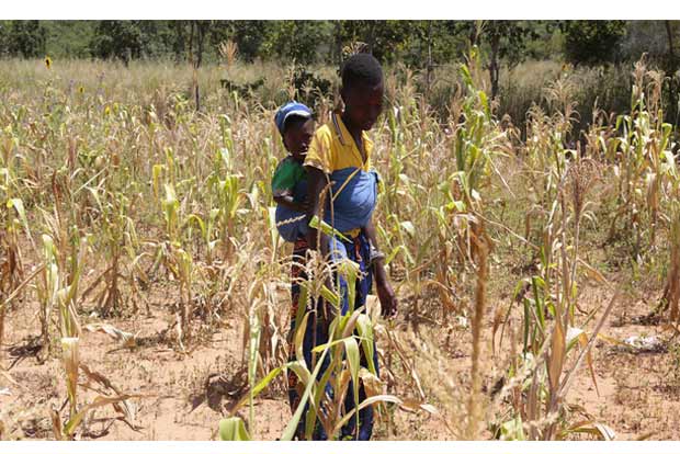 Zimbabwe experiencing its worst hunger emergency: WFP
